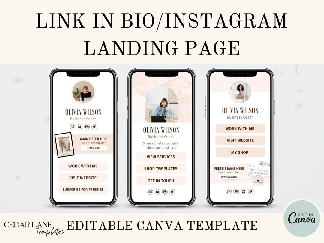 Link in Bio Template, Business Landing Page, Instagram Influencer Template, Canva Template, Link ...