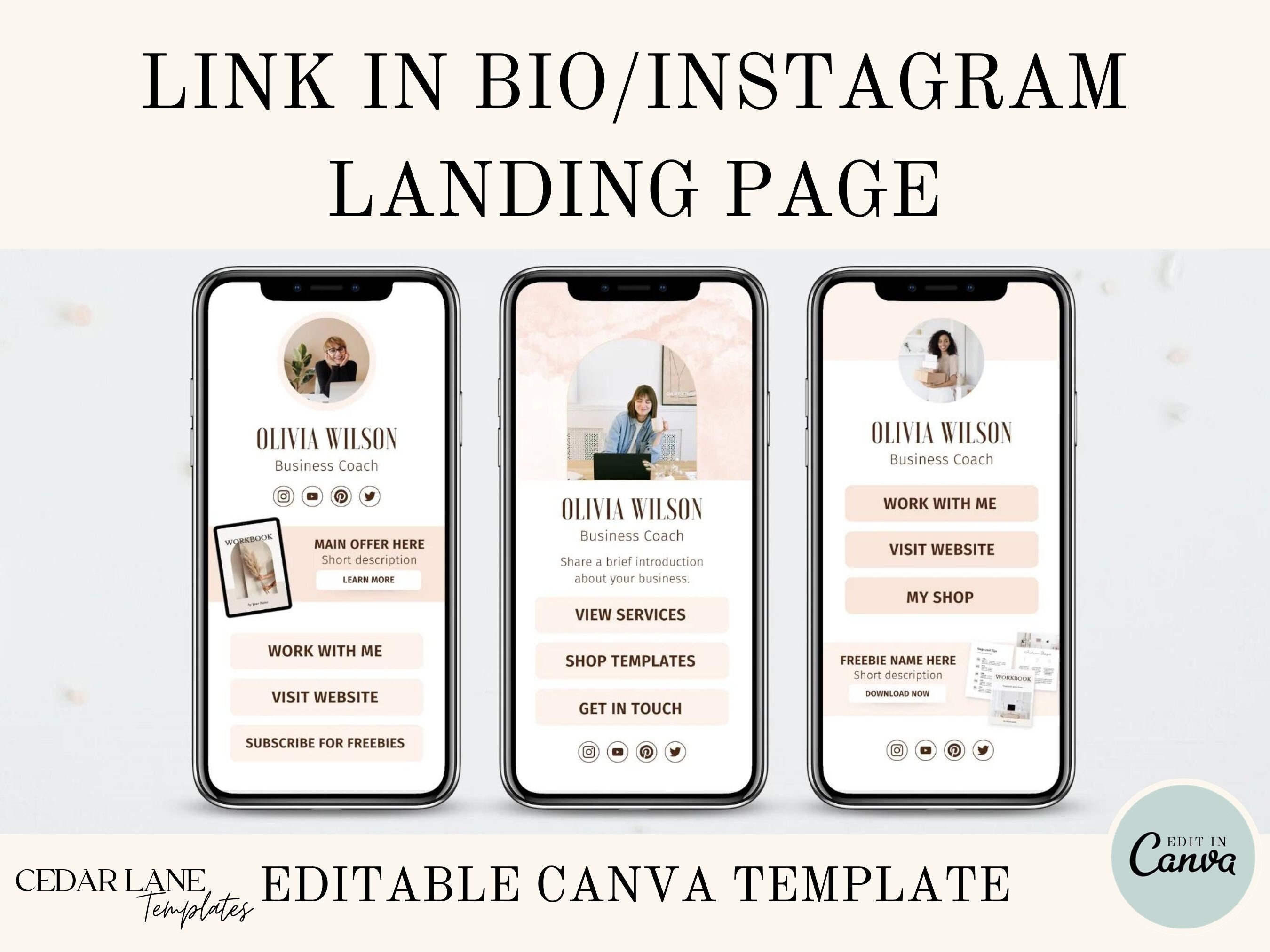 Link in Bio Template, Business Landing Page, Instagram Influencer ...