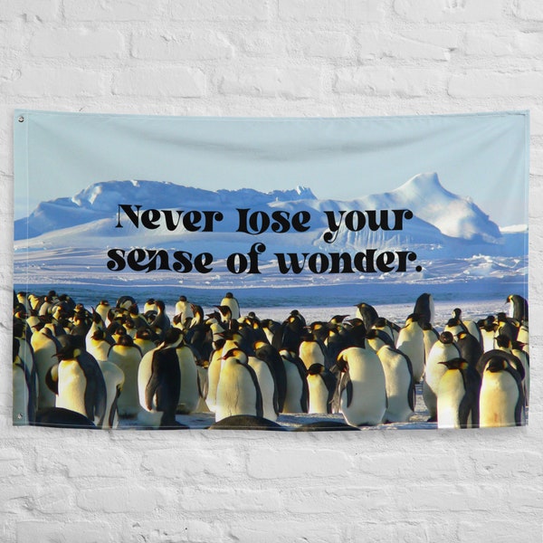 Sense of Wonder - Etsy