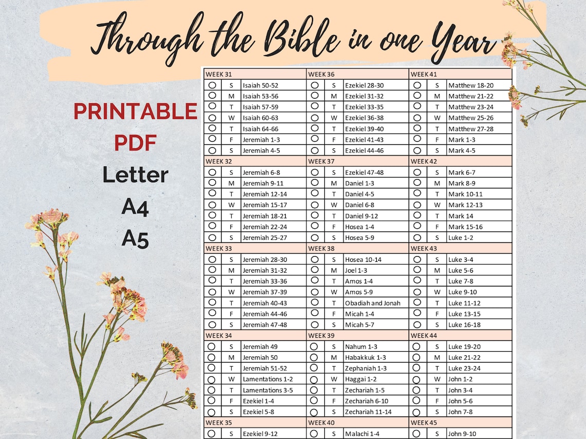 Bible Reading Planner in One Year, Calendar, One Year, Printable, 2025 ...