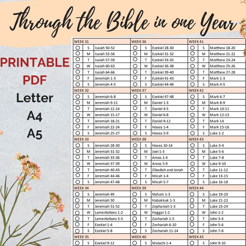 One Year Bible Reading Plan - Etsy