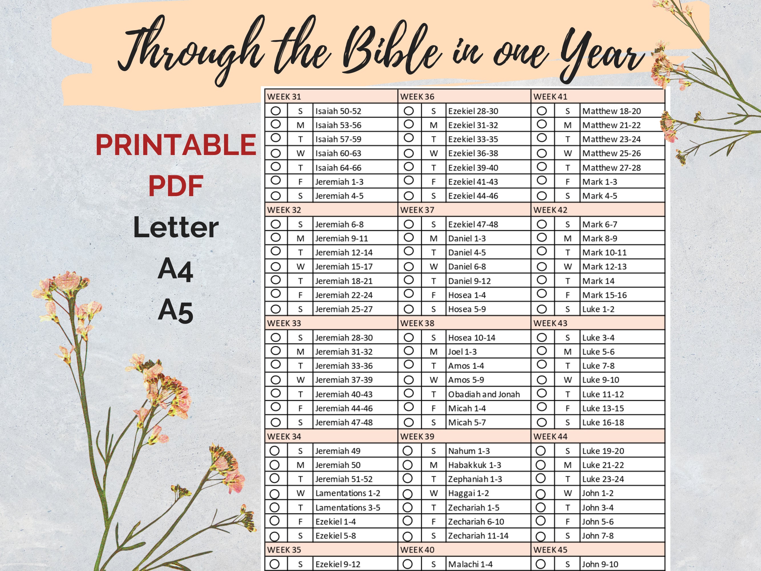 Bible Reading Planner in One Year, Calendar, One Year, Printable, 2025 ...