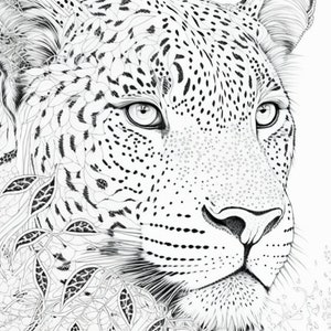 50 Zen Animals With Detailed Patterns - Etsy