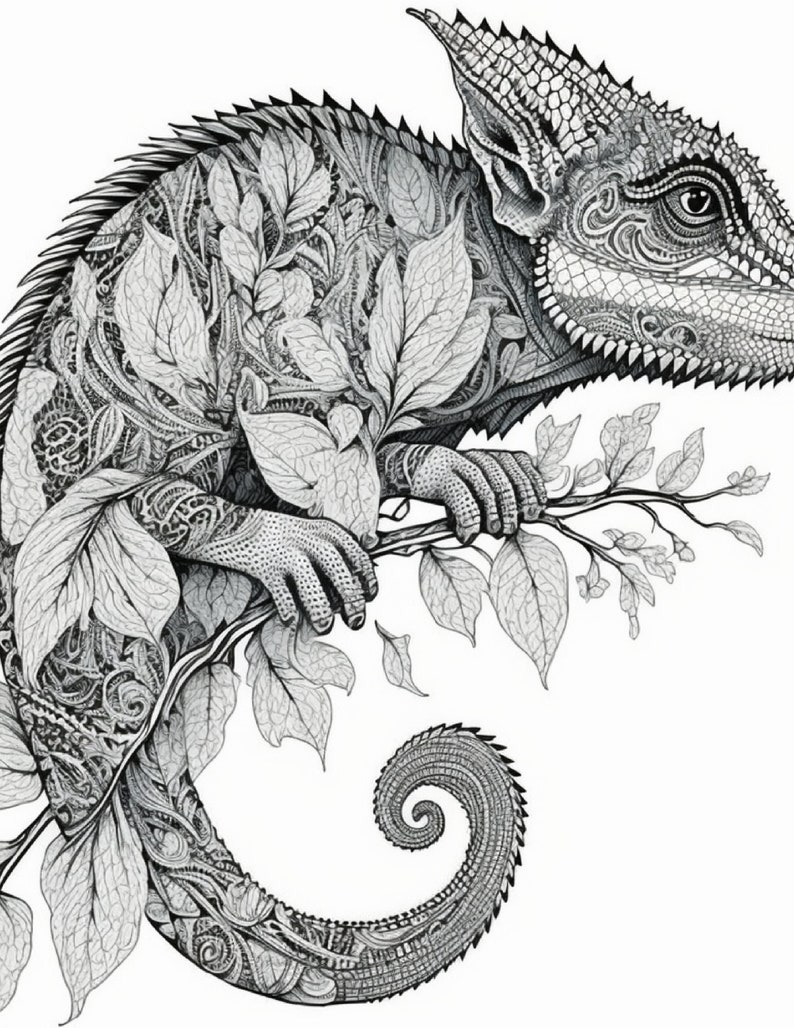 50 Zen Animals With Detailed Patterns - Etsy