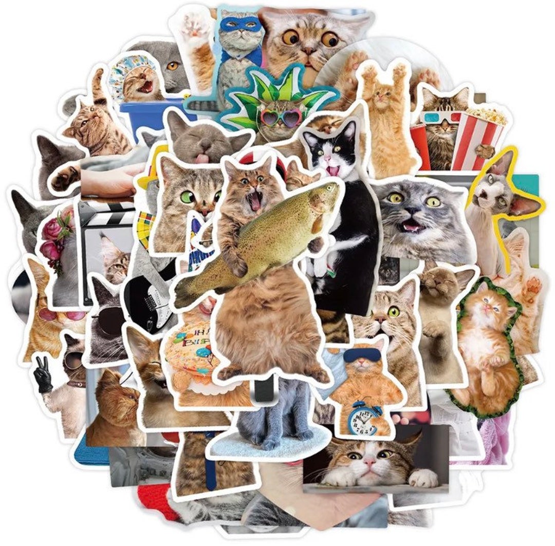 60 Funny Cats Stickers Pack, High Quality CAT Meme Stickers, Perfect ...