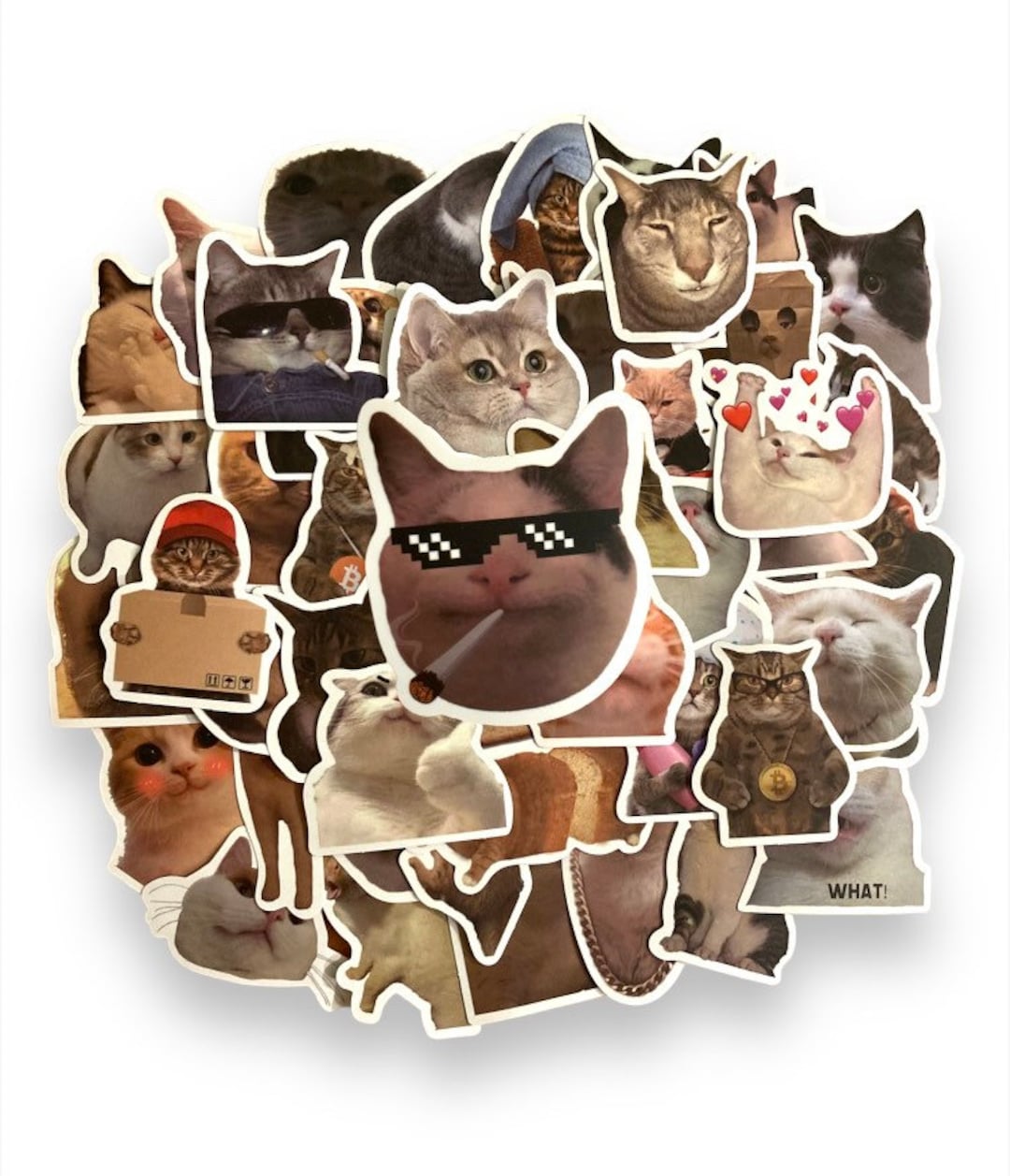 Funny Cats Sticker Pack With 50 High-quality CAT Meme Stickers ...