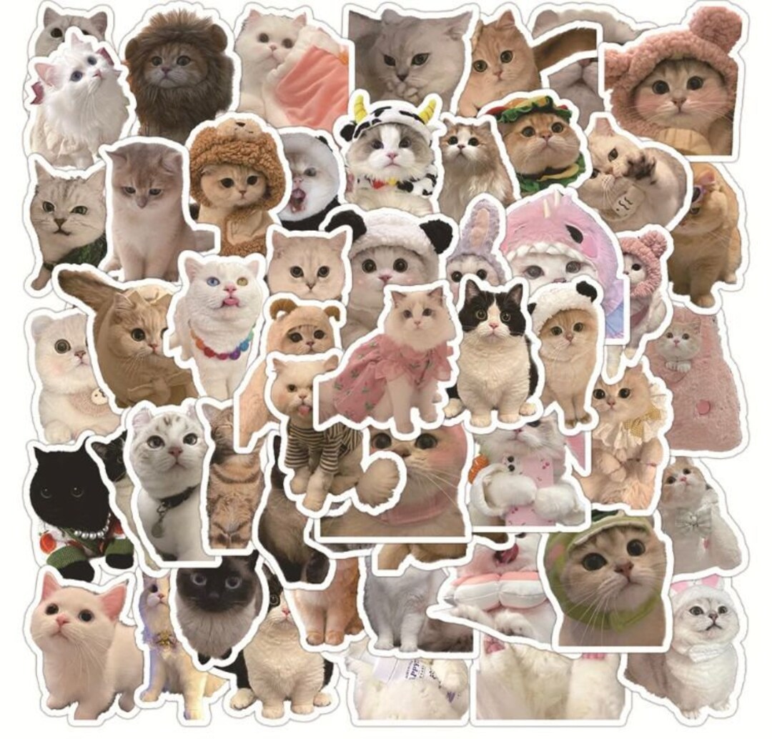 50 Funny Cats Sticker Pack With 50 High Quality Cute CAT Meme Stickers ...