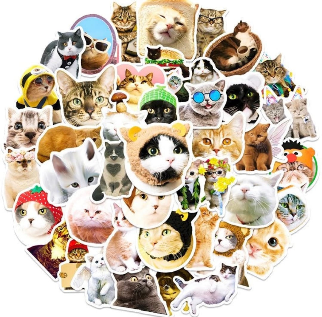 Funny Cats Sticker Pack With 50 High Quality CAT Meme Stickers ...
