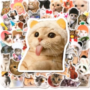 50 Funny Cats Sticker Pack With 100 or 50 High Quality CAT Meme ...