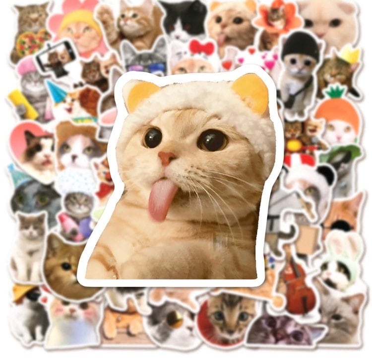50 Lustige Katzen Sticker Pack mit 100 oder 50 hochwertigen CAT Meme ...
