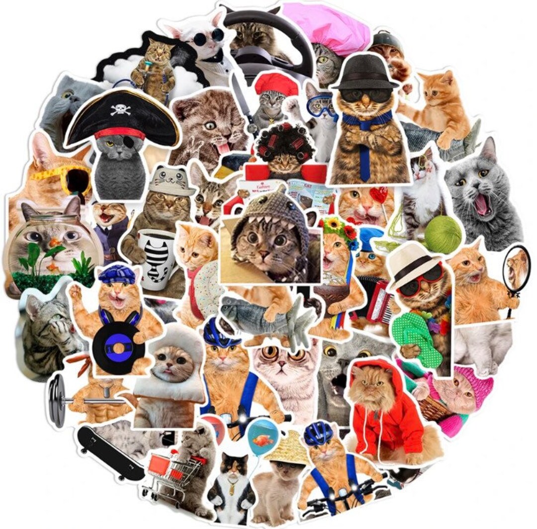Funny Cats Sticker Pack With 100 or 50 High Quality CAT Meme Stickers ...