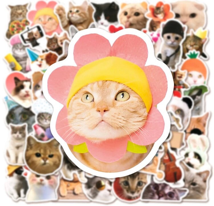 50 Lustige Katzen Sticker Pack mit 100 oder 50 hochwertigen CAT Meme ...