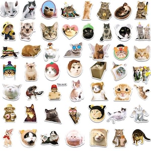 Funny Cats Sticker Pack With 50 High Quality CAT Meme Stickers Perfect ...