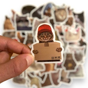 Funny Cats Sticker Pack With 50 High-quality CAT Meme Stickers ...