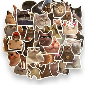 Funny Cats Sticker Pack With 50 High-quality CAT Meme Stickers ...