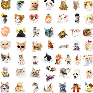 50 Funny Cats Sticker Pack With 100 or 50 High Quality CAT Meme ...
