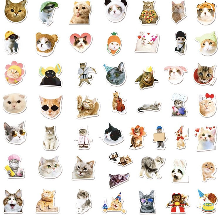 50 Lustige Katzen Sticker Pack mit 100 oder 50 hochwertigen CAT Meme ...
