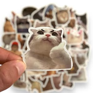 Funny Cats Sticker Pack With 50 High-quality CAT Meme Stickers ...