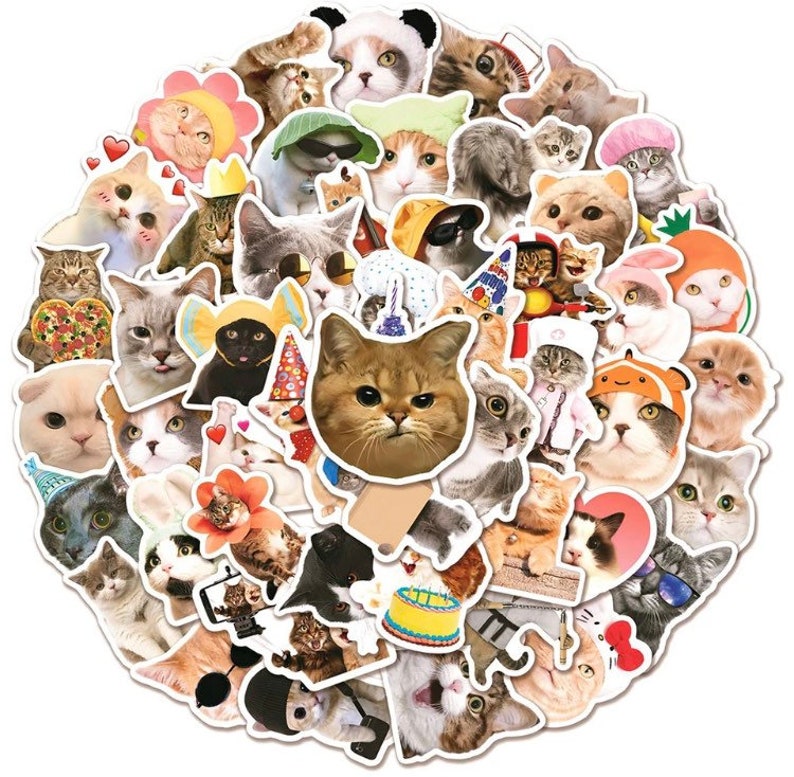 50 Funny Cats Sticker Pack With 100 or 50 High Quality CAT - Etsy