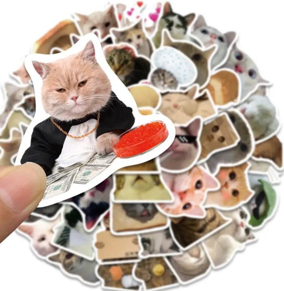Funny Cats Sticker Pack With 50 High-quality CAT Meme Stickers ...