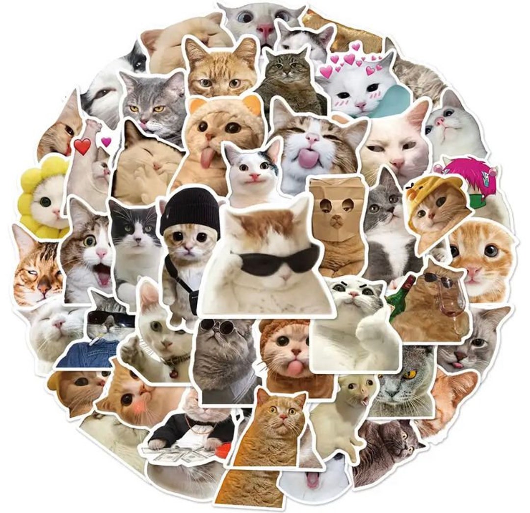 Funny Cats Sticker Pack With 50 High-quality CAT Meme Stickers ...