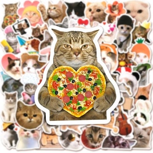 50 Funny Cats Sticker Pack With 100 or 50 High Quality CAT Meme ...