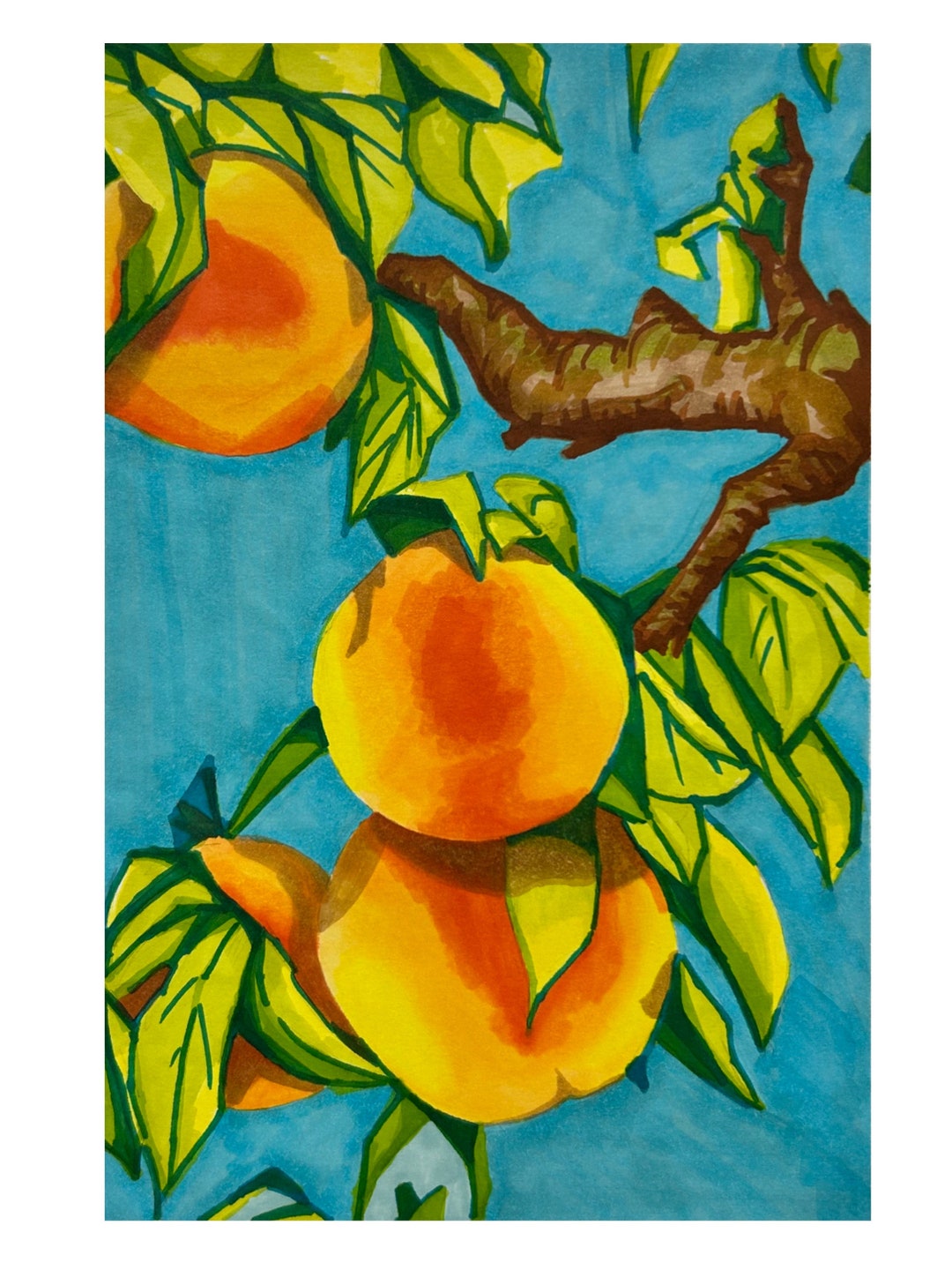 Peache Tree Illustration - Etsy