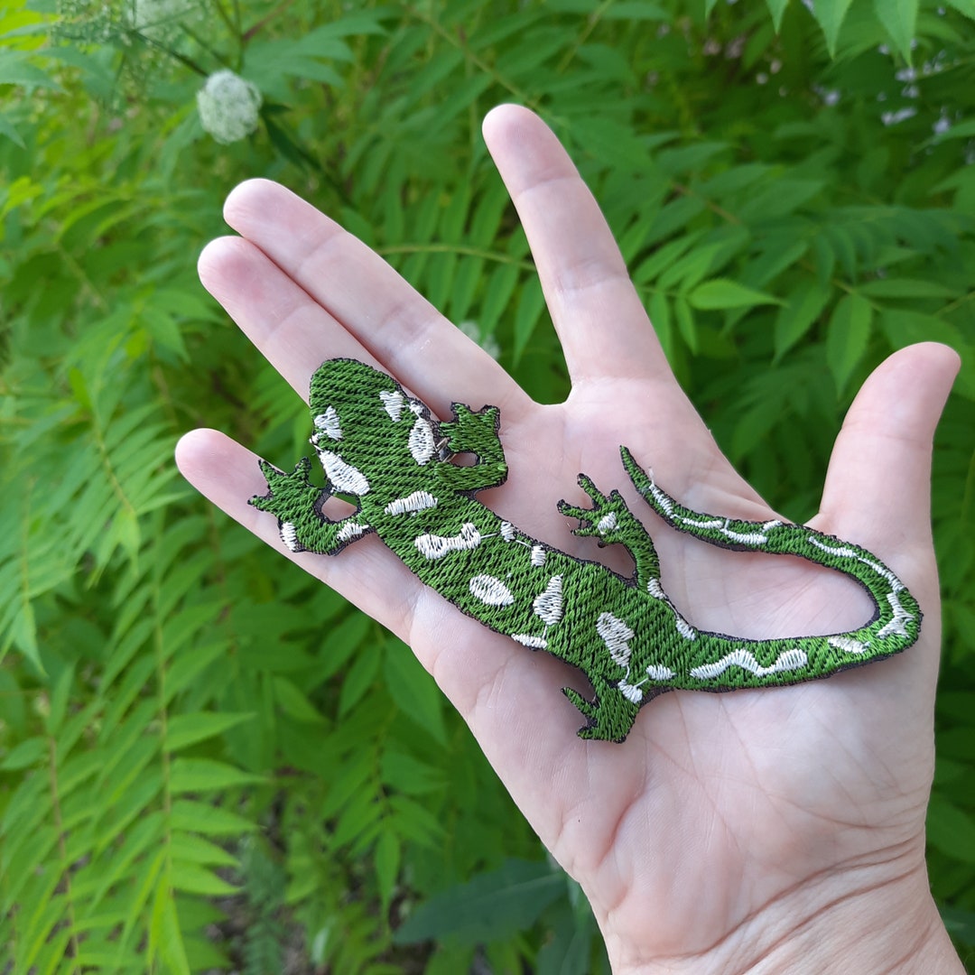 Lizard Embroidered Patch - Etsy