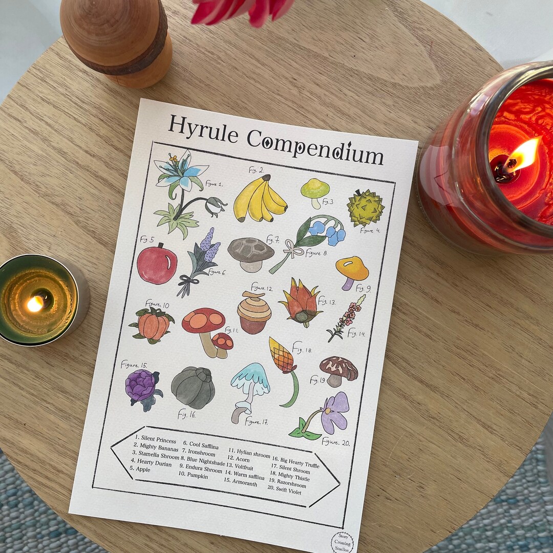 De Legende Van Zelda Art Print Nintendo Switch Hyrule - Etsy