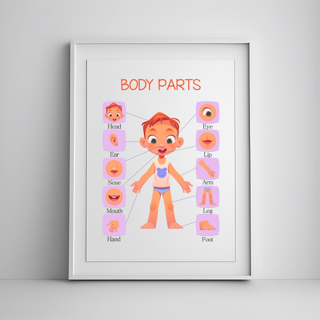 Body Parts, Teaching Resource, Body Parts Poster, Homeschool Learning ...