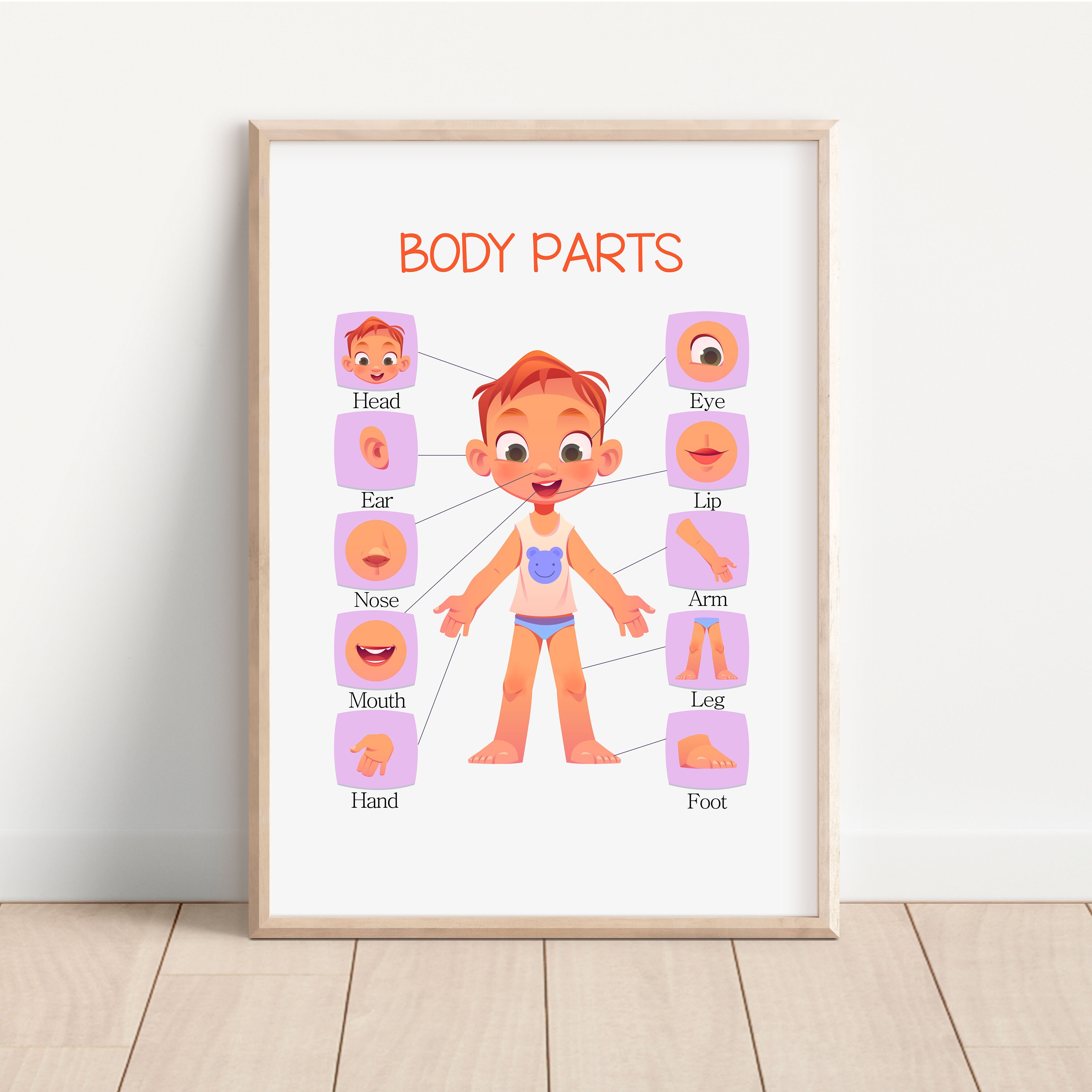 Body Parts, Teaching Resource, Body Parts Poster, Homeschool Learning ...