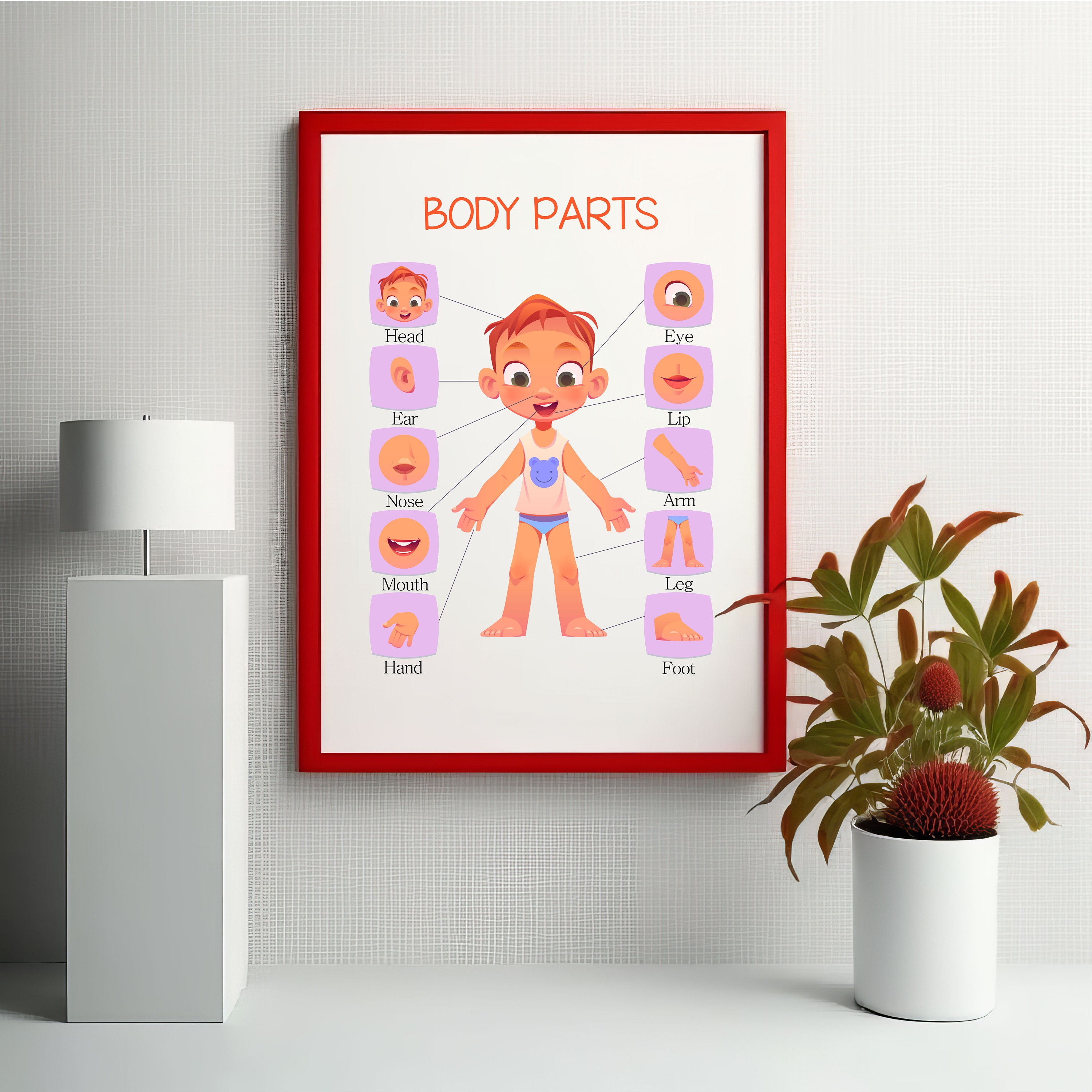 Body Parts, Teaching Resource, Body Parts Poster, Homeschool Learning ...