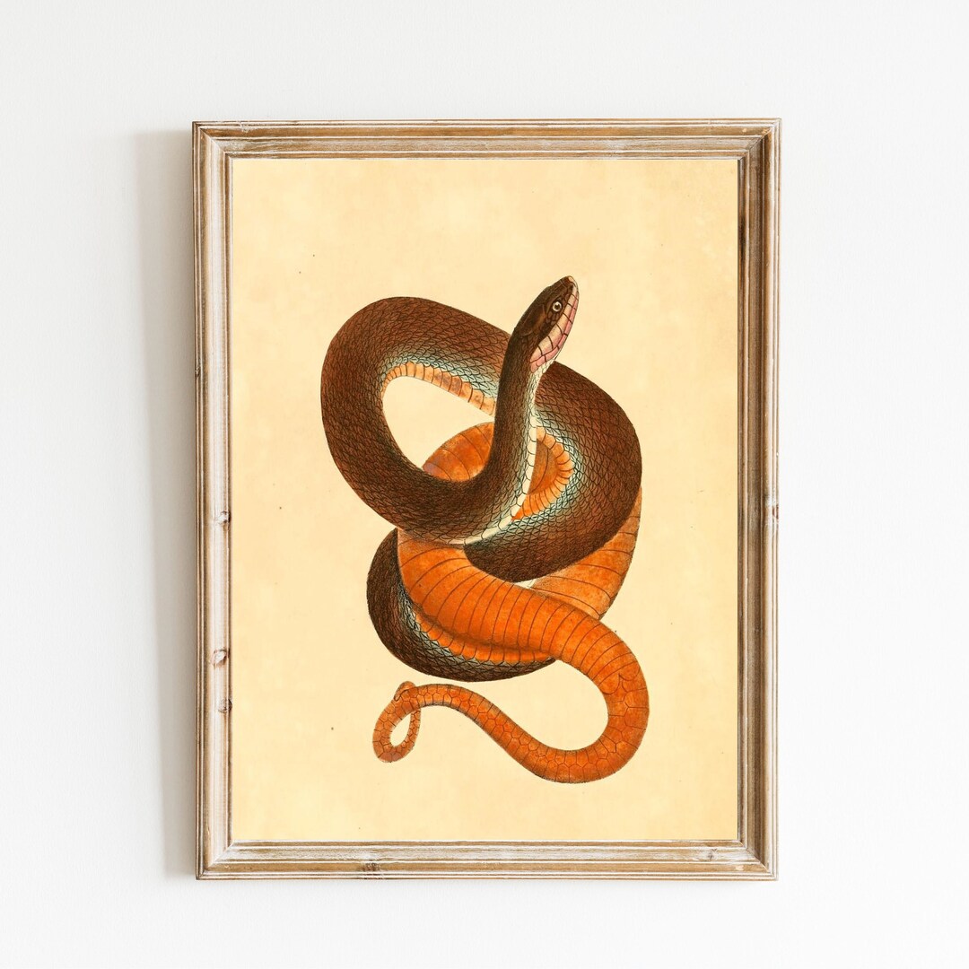 Vintage Snake Printable Art, Snake Wall Art, Living Room Wall Art Print ...