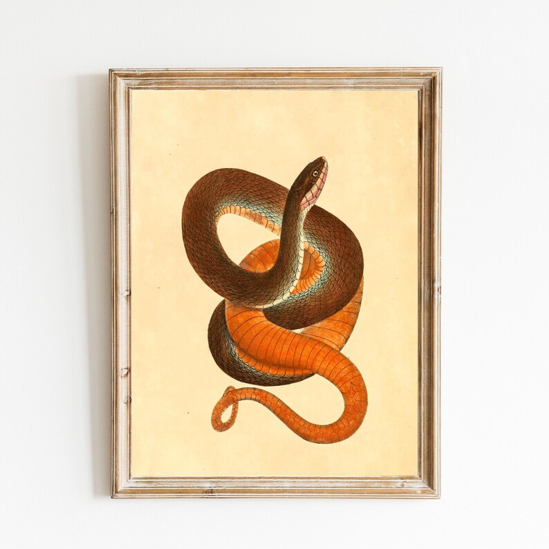 Vintage Snake Printable Art, Snake Wall Art, Living Room Wall Art Print ...