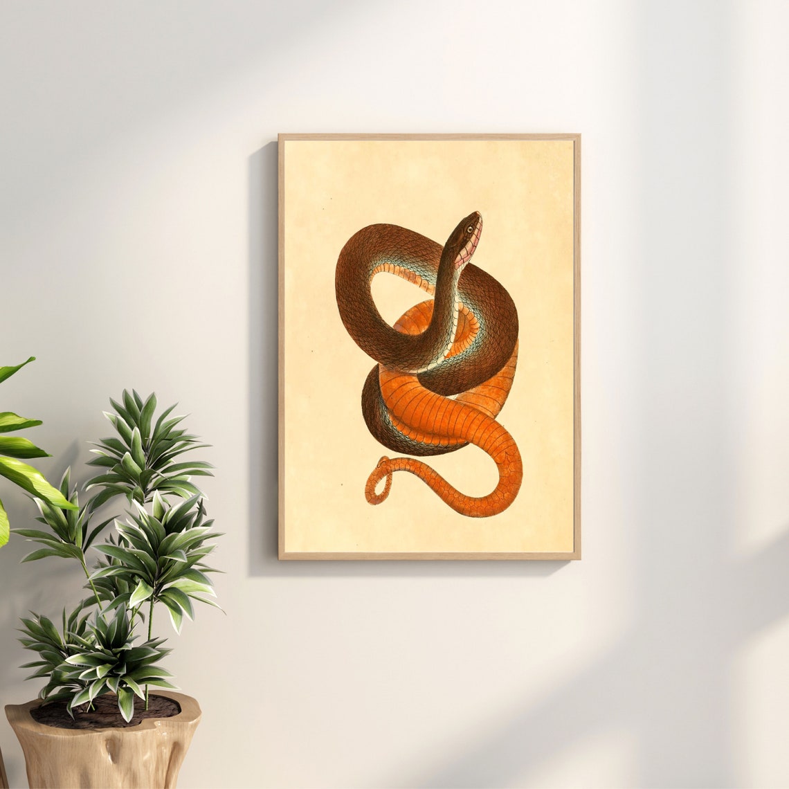 Vintage Snake Printable Art, Snake Wall Art, Living Room Wall Art Print ...