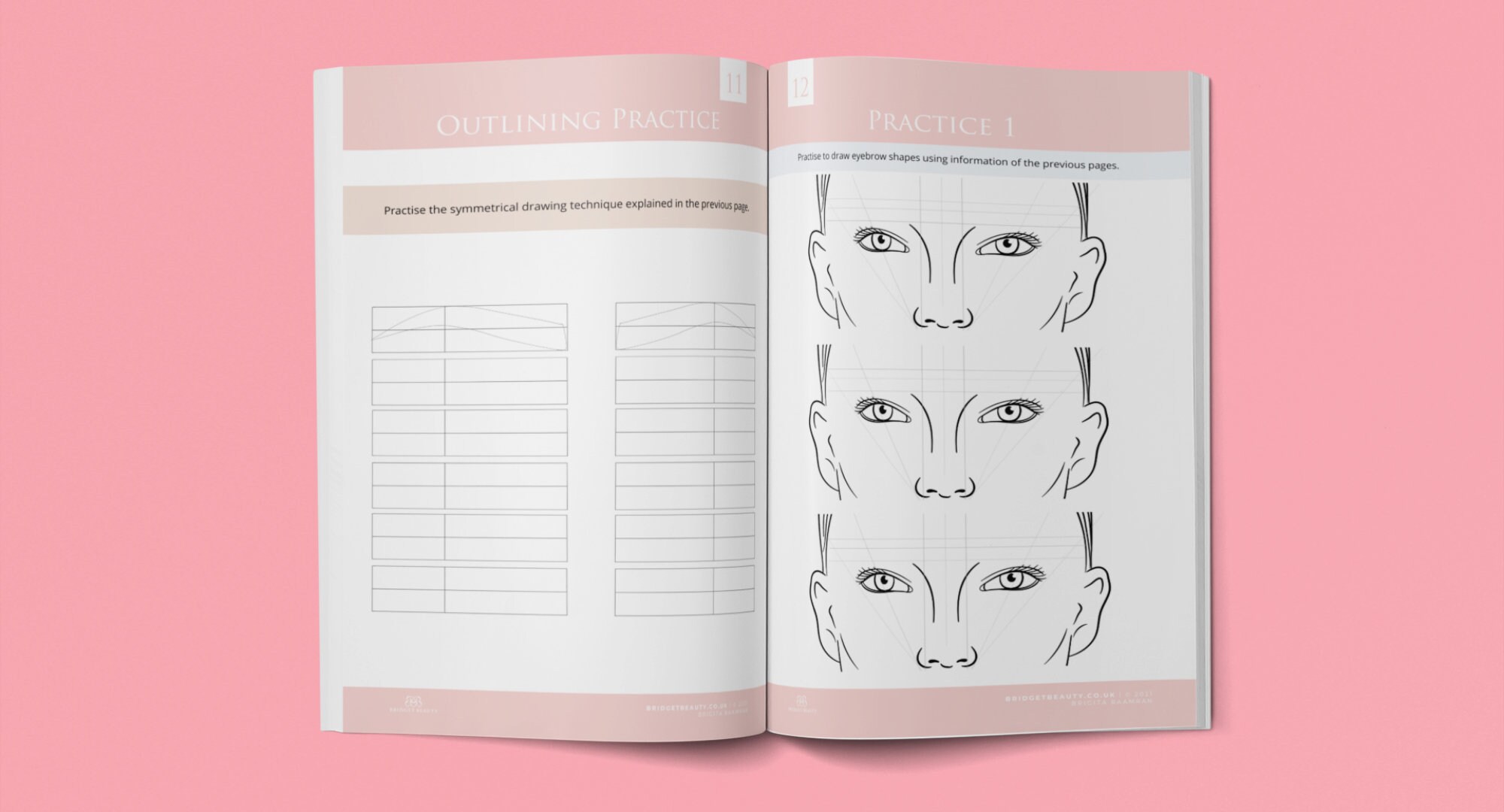 Micropigmentation Training Workbook: Brows, Lips, Eyeliner SPMU (canva ...