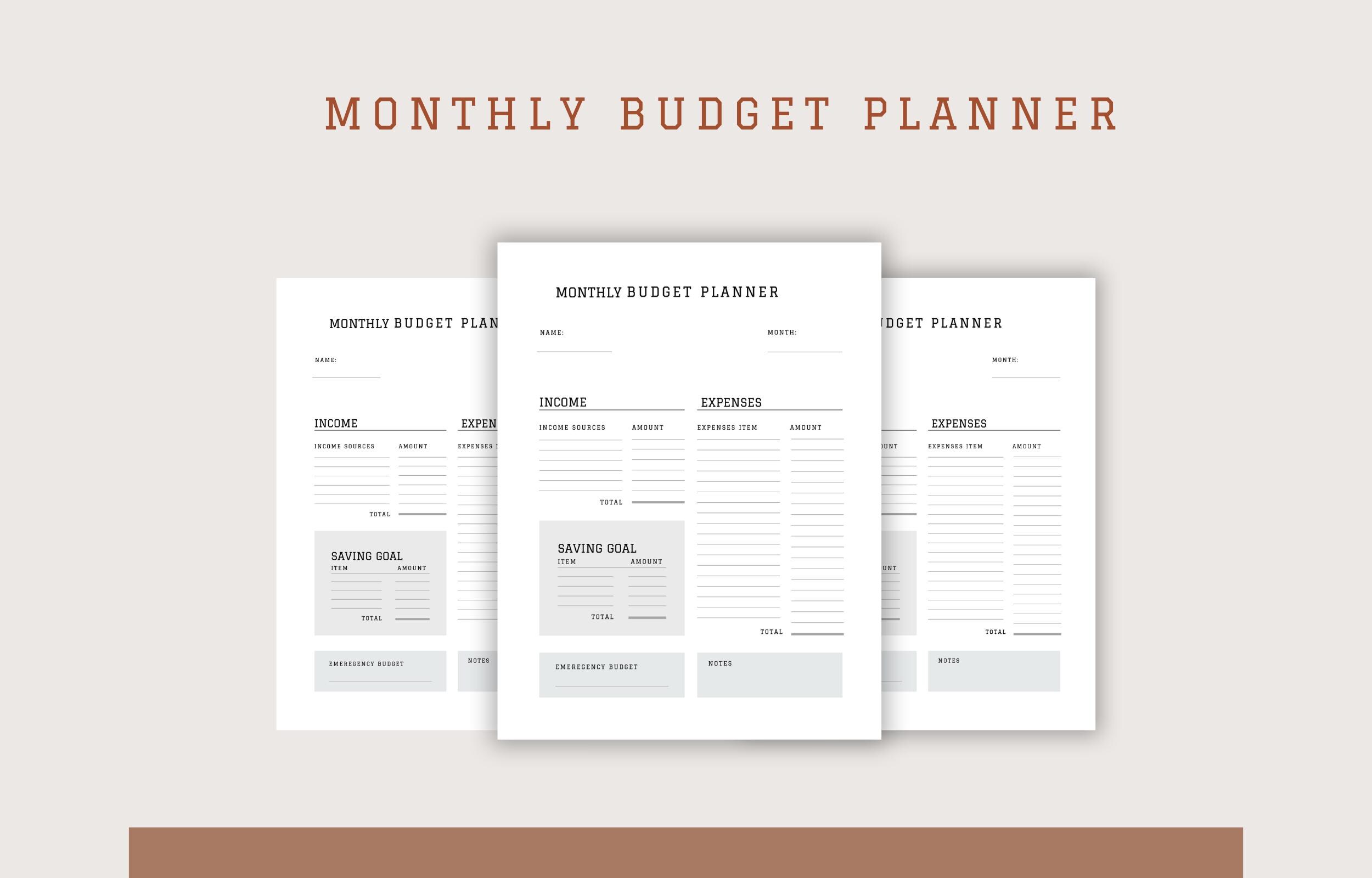 Aesthetic Monthly Budget Planner, Stylish Financial Organizer, Perfect ...