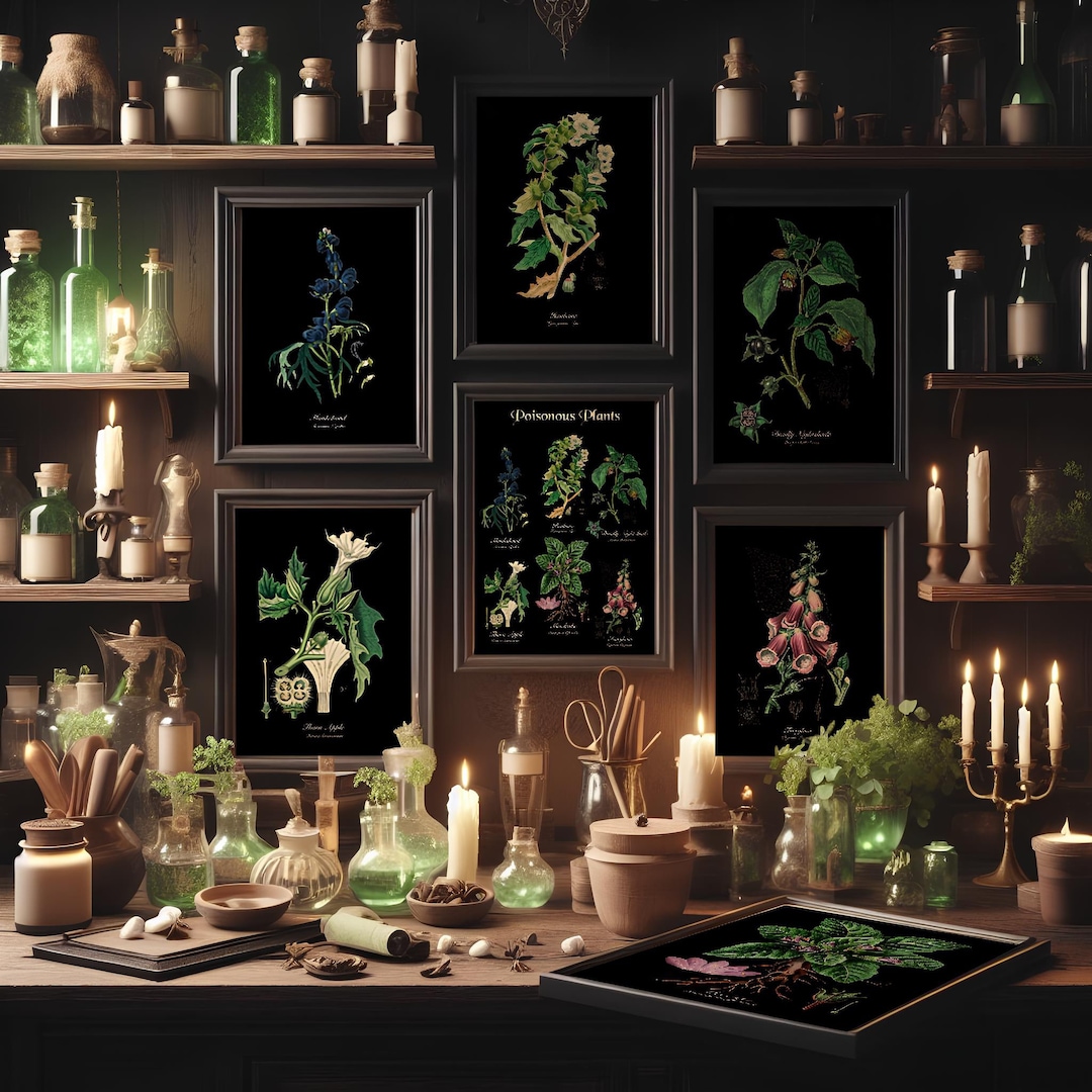 Set of 7 Poisonous Plants Botanical Art Monkshood, Henbane, Deadly ...
