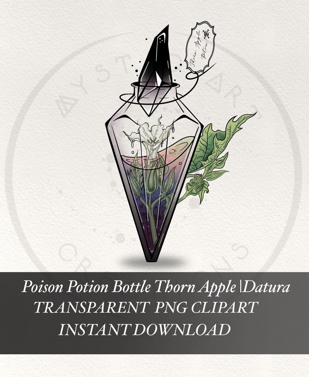 Poison Potion Bottle Thorn Apple, Devils Trumpets, Datura Stramonium,witchy Magical Apothecary ...