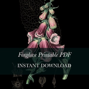 Set of 7 Poisonous Plants Botanical Art Monkshood, Henbane, Deadly ...