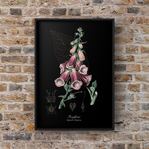 Set of 7 Poisonous Plants Botanical Art Monkshood, Henbane, Deadly ...