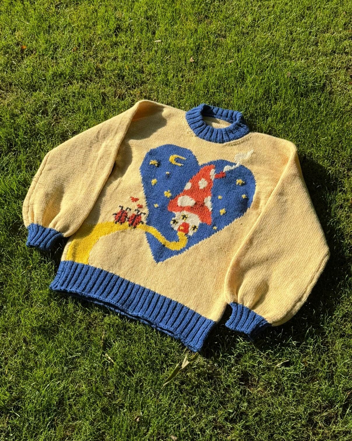Ladybug Knitting Chart: Intarsia or Tapestry Crochet Pattern (PDF ...