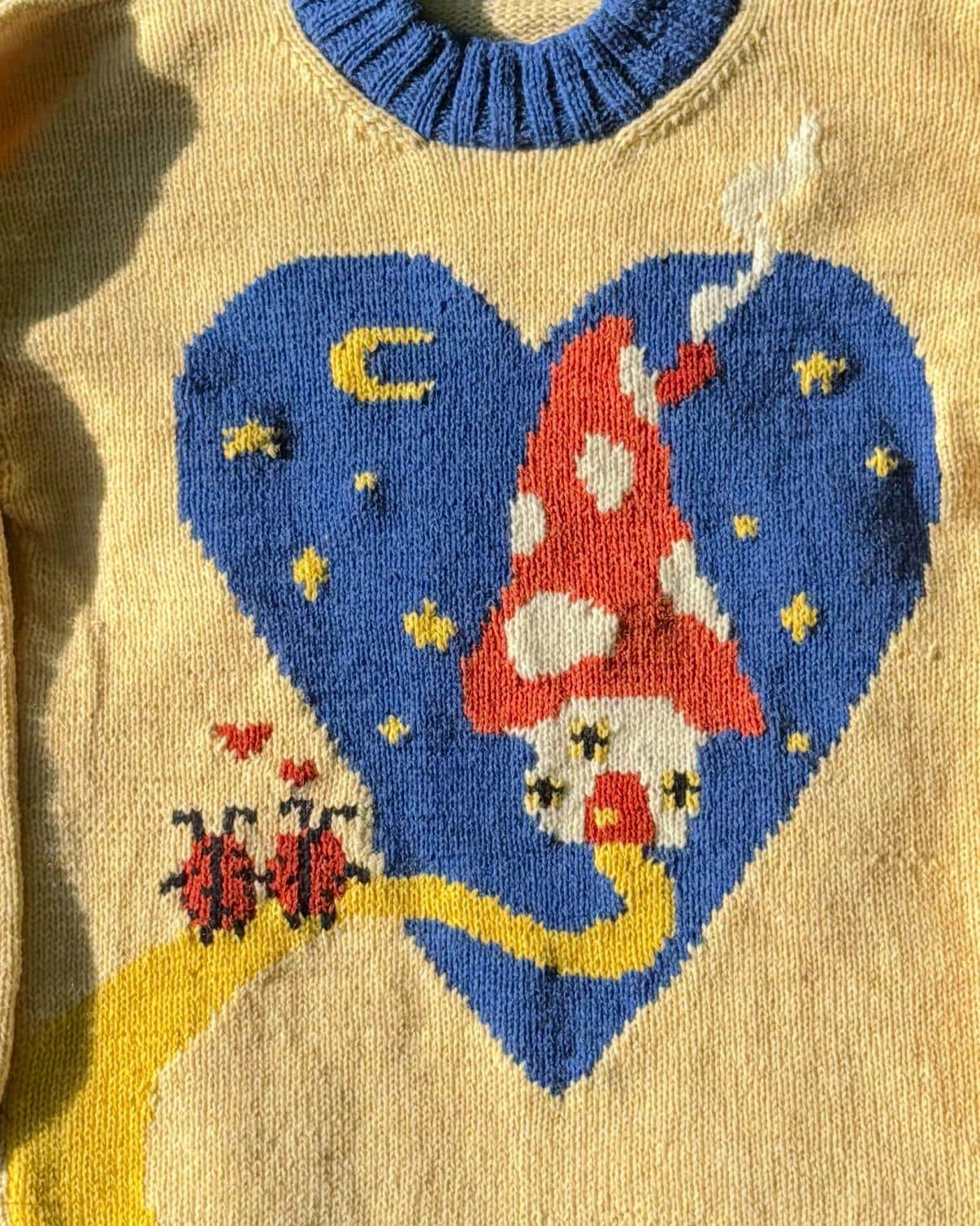 Ladybug Knitting Chart PDF – Intarsia or Tapestry Crochet Pattern ...