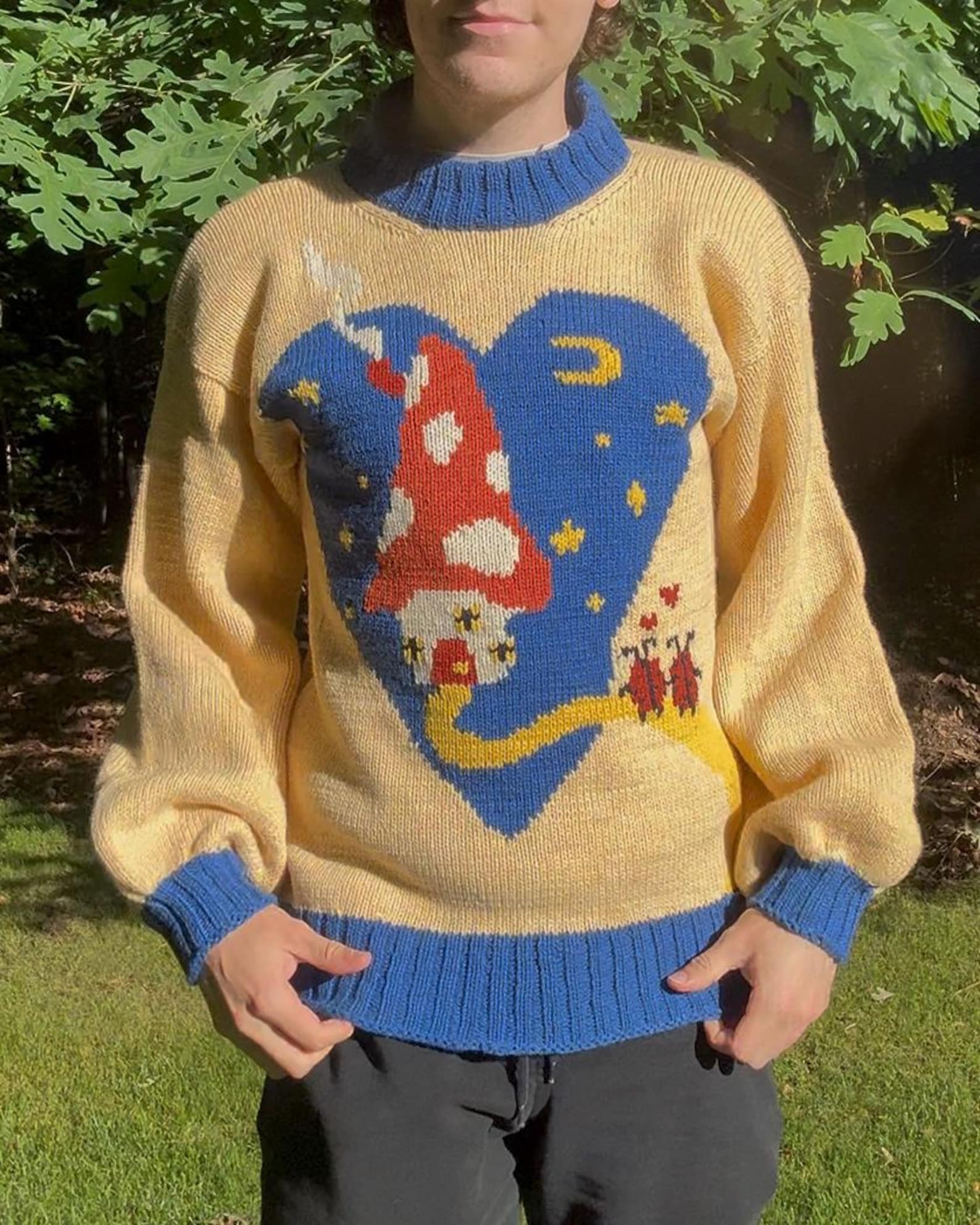Ladybug Knitting Chart: Intarsia or Tapestry Crochet Pattern (PDF ...
