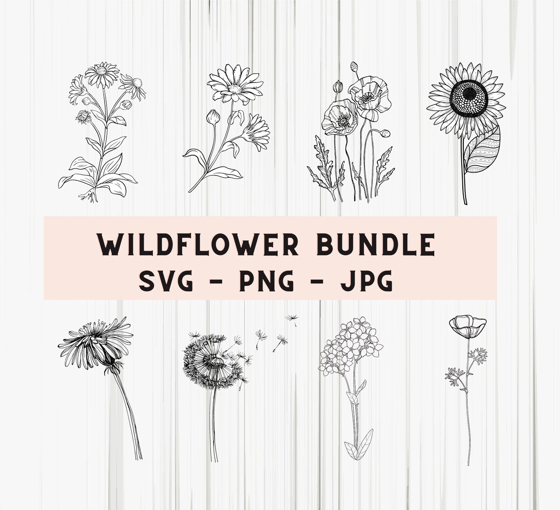 Wildflower SVG Bundle, Botanical Digital Images, Digital Clipart ...