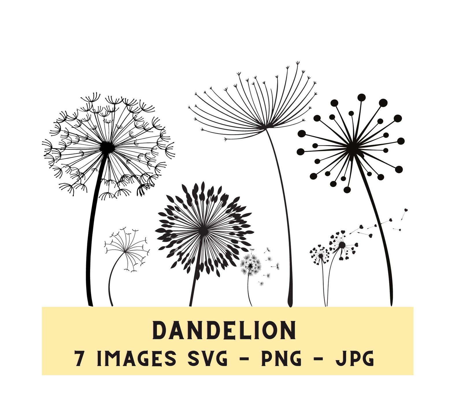 Dandelion Set of 7 Images SVG, PNG, Digital Images, Floral Clipart ...