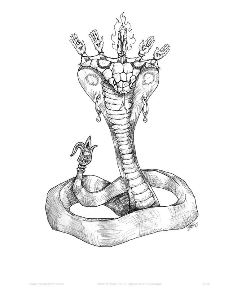 Animal Story Fable Pen Ink Drawing Giclee Prints From the Book the ...