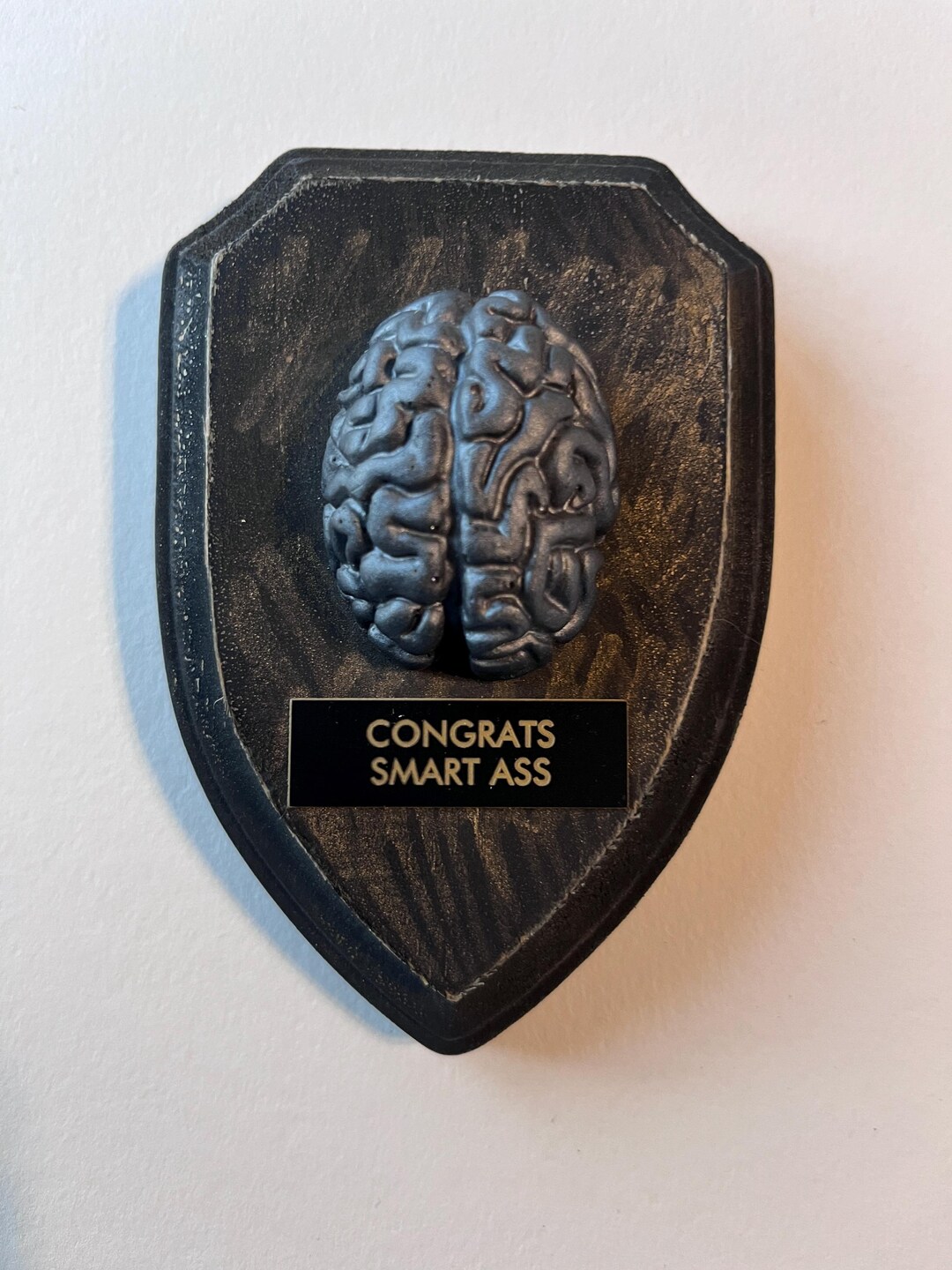 Congrats Smart Ass Brain Congrats Faux Trophy Plaque Smart Mind on Wood ...