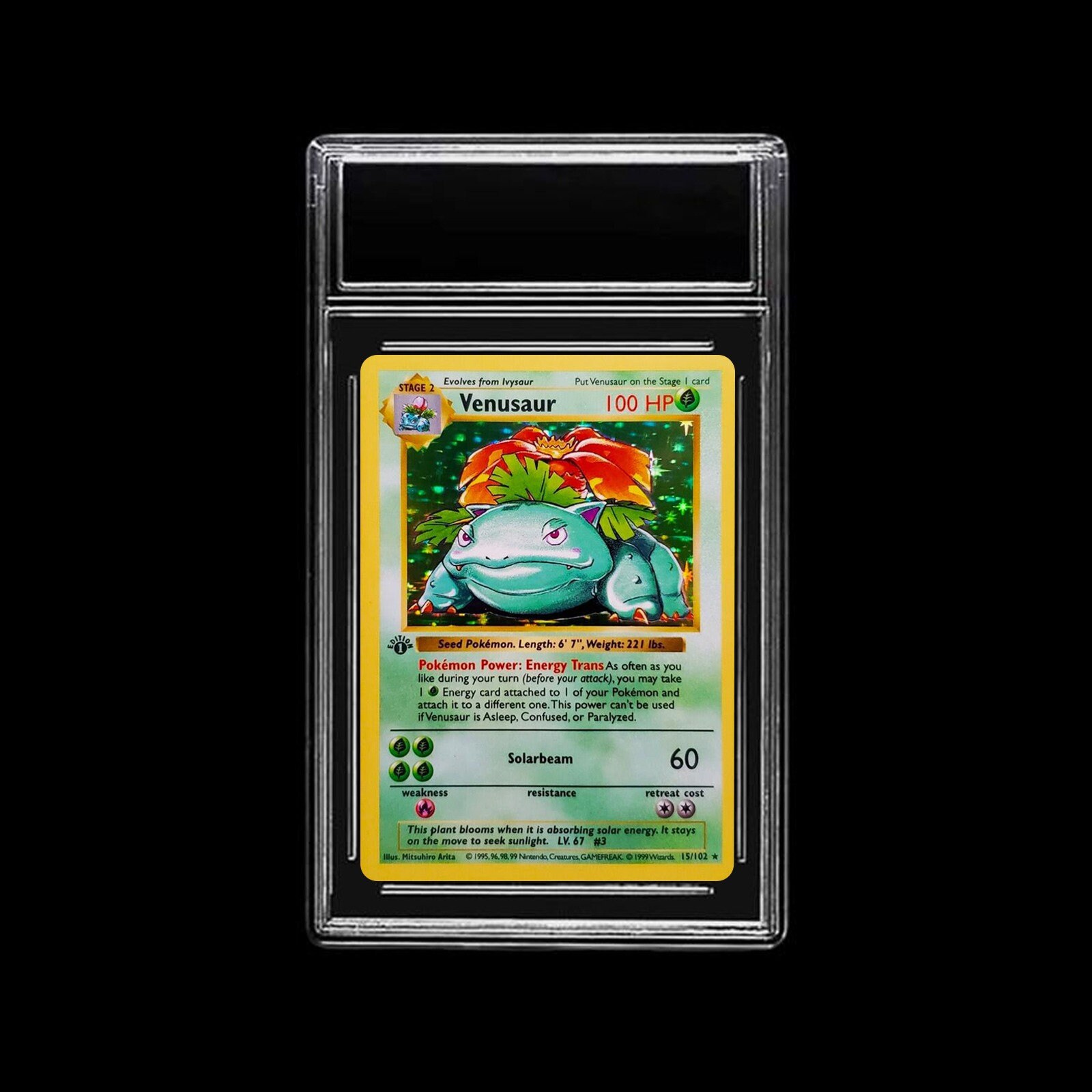 Empty Grading Slab for Pokemon Topps Panini Cards Free - Etsy UK