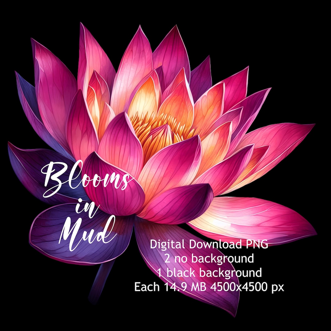 Lotus Flower PNG Immediate Download- Blooms in Mud/ Purity Resilience ...